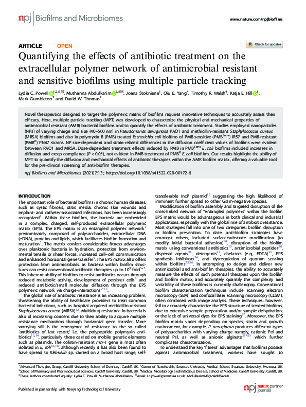 (PDF) Quantifying the effects of antibiotic treatment on the extracellular polymer network of ...