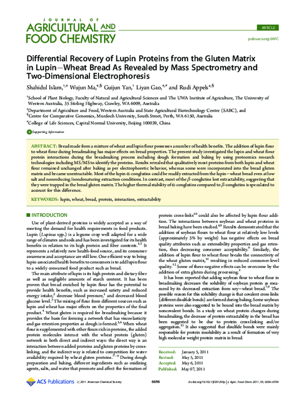 (PDF) Differential Recovery of Lupin Proteins from the Gluten Matrix in ...
