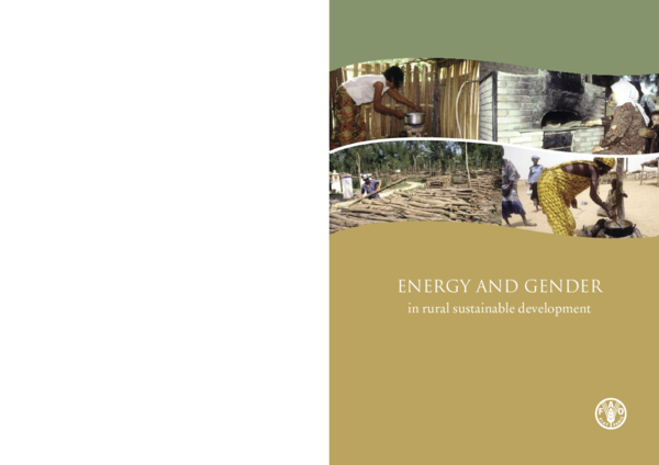 (PDF) Energy and Gender | Beth Osnes - Academia.edu