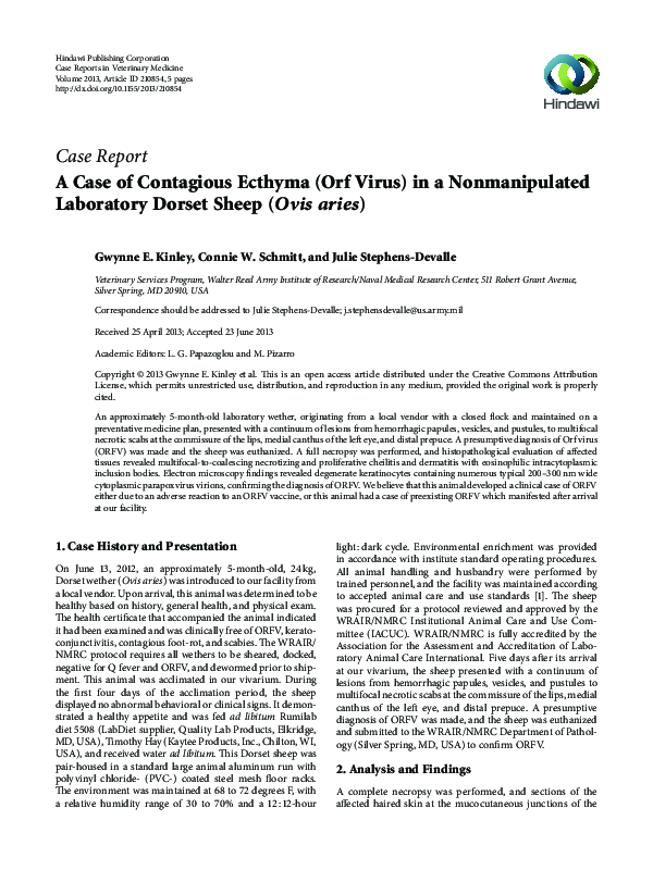 (PDF) Contagious Ecthyma (Orf Virus) in Dorset Sheep