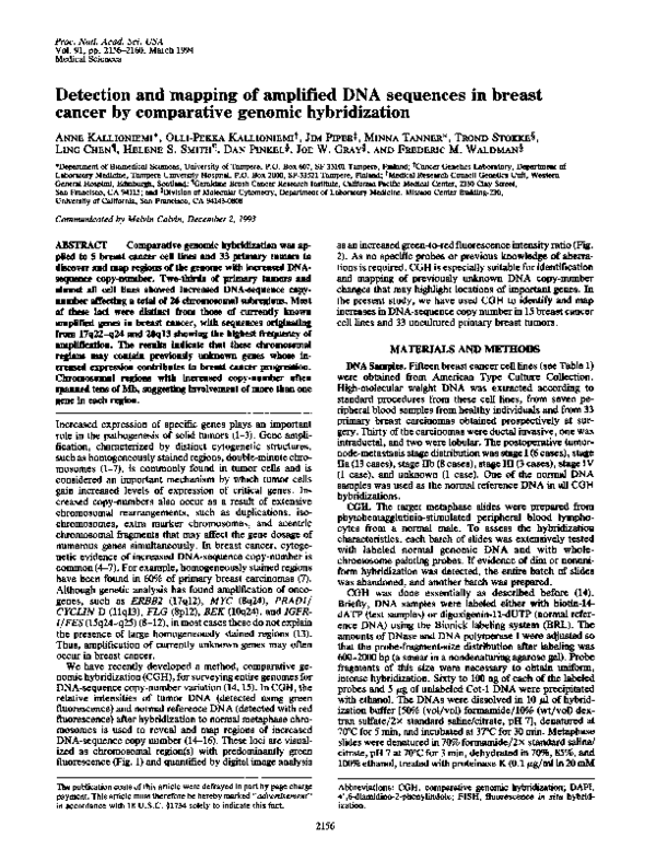 (PDF) Detection and mapping of amplified DNA sequences in breast cancer ...
