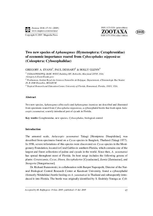 (PDF) Two new species of Aphanogmus (Hymenoptera: Ceraphronidae) of ...