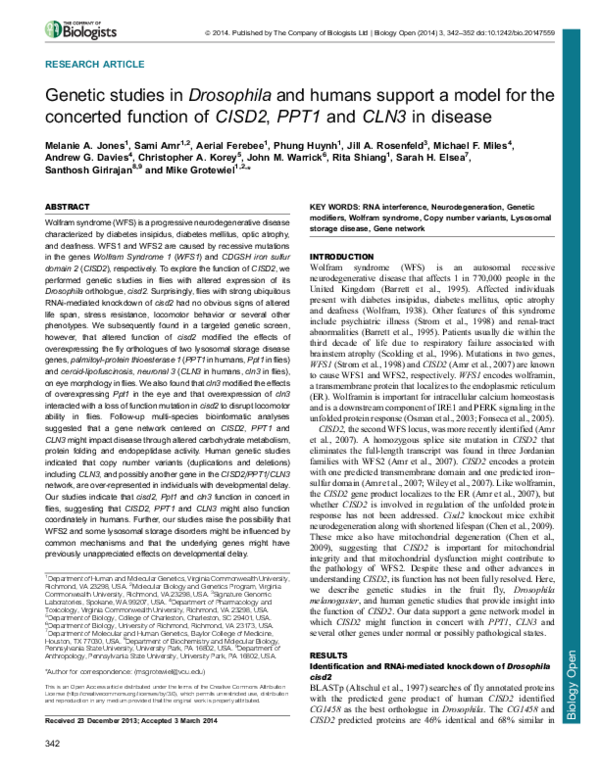 Genetic studies in Drosophila and humans support a model for the ...