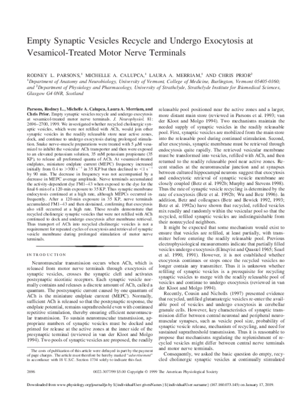 (PDF) Empty Synaptic Vesicles Recycle and Undergo Exocytosis at ...
