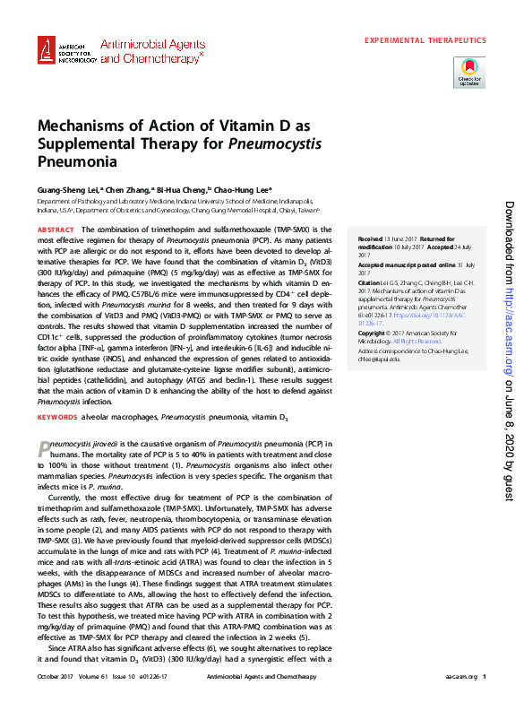 (PDF) Mechanisms of action of vitamin D as supplemental therapy for ...