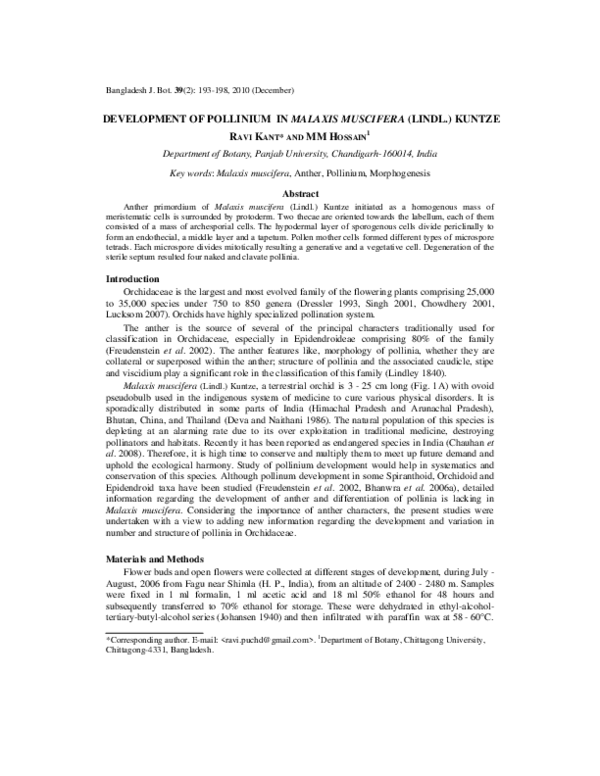 (PDF) Development of pollinium in Malaxis muscifera (Lindl.) Kuntze