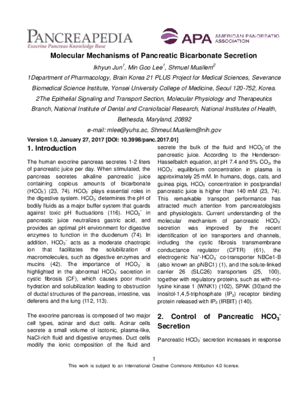 (PDF) Molecular Mechanisms of Pancreatic Bicarbonate Secretion ...