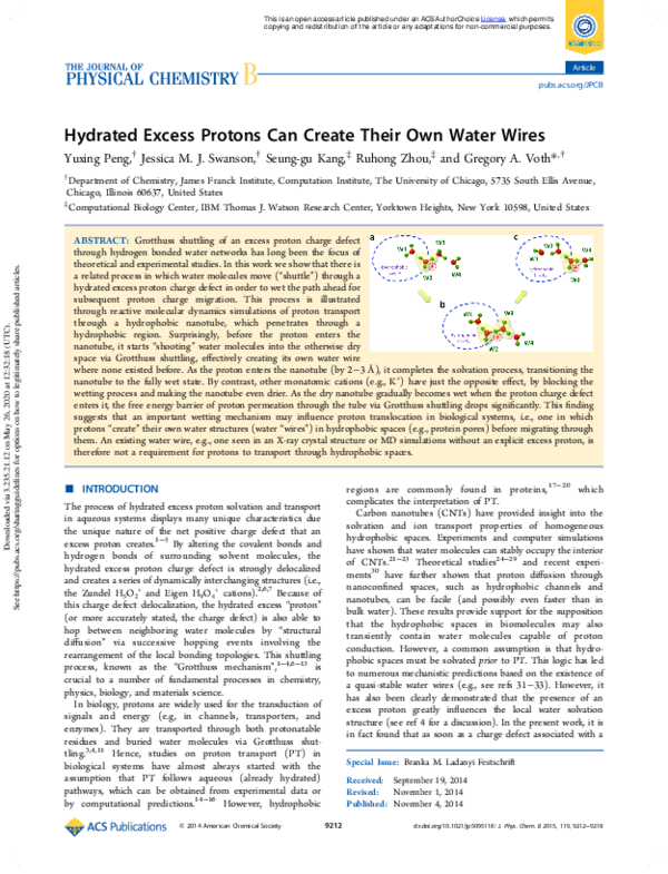 (PDF) Hydrated Excess Protons Can Create Their Own Water Wires