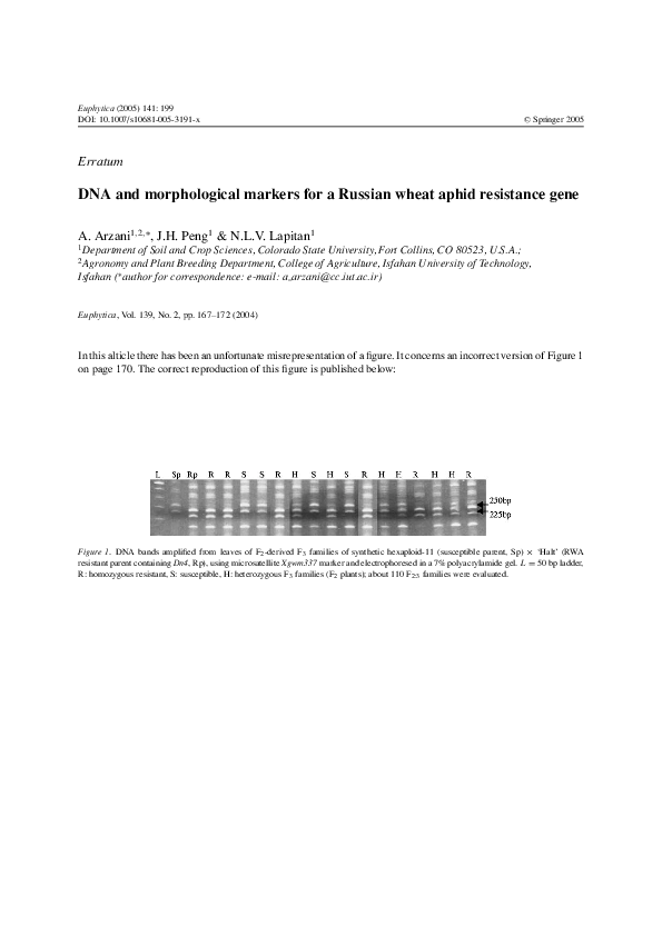 (PDF) DNA and morphological markers for a Russian wheat aphid ...