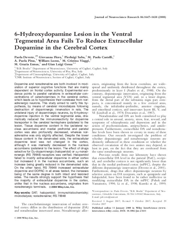 (PDF) 6-Hydroxydopamine lesion in the ventral tegmental area fails to ...