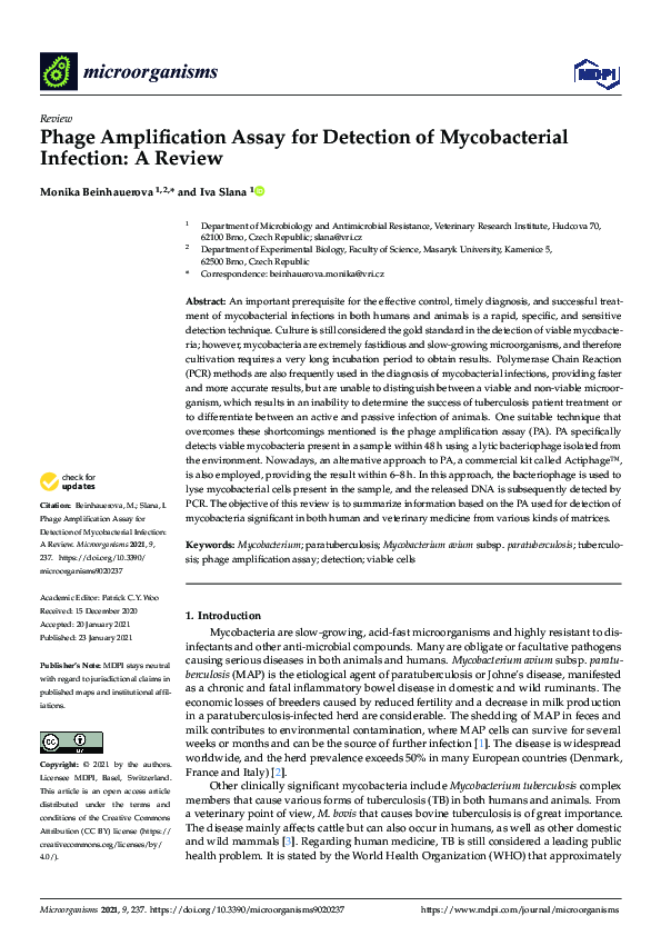 (PDF) Phage Amplification Assay for Detection of Mycobacterial ...
