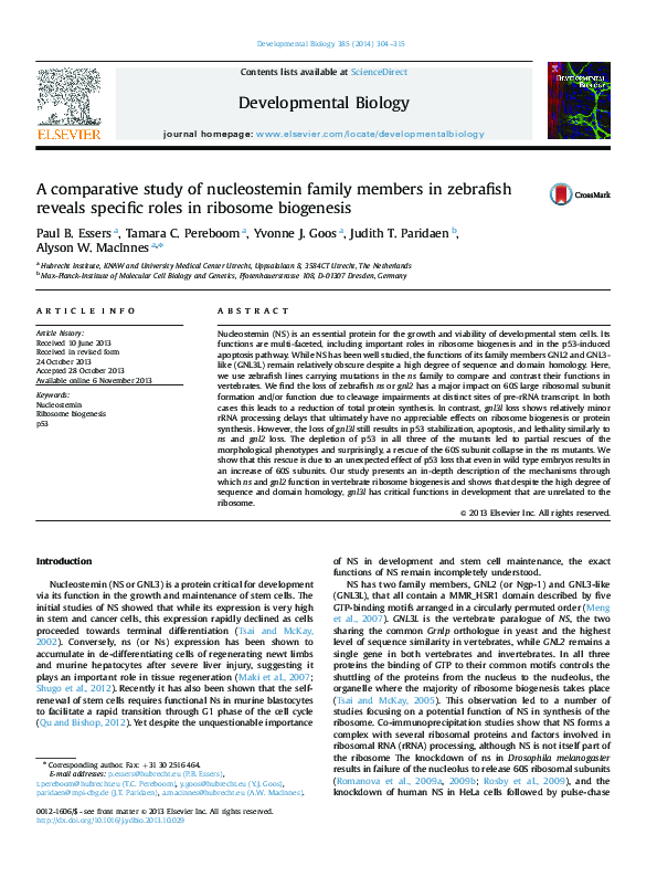 (PDF) A comparative study of nucleostemin family members in zebrafish ...