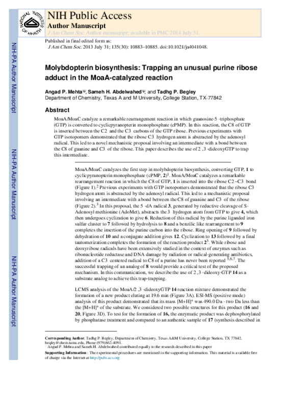 (PDF) Molybdopterin Biosynthesis: Trapping an Unusual Purine Ribose ...