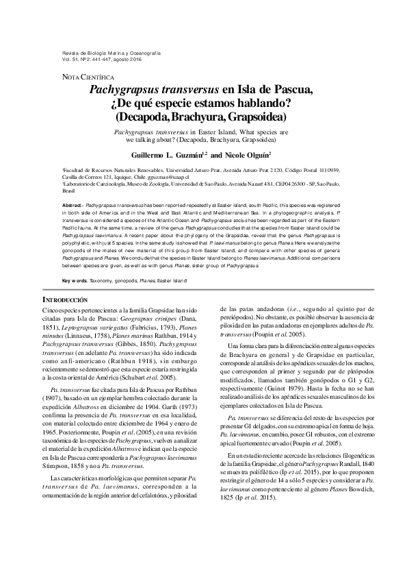 (PDF) Pachygrapsus transversus en Isla de Pascua, ¿De qué especie ...