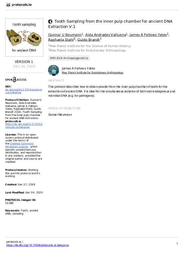 (PDF) Tooth Sampling from the inner pulp chamber for ancient DNA ...