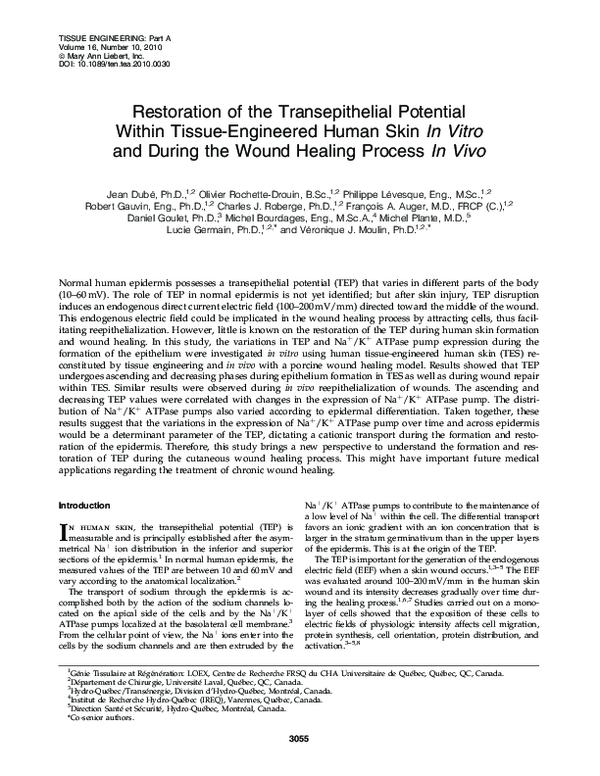 (PDF) Restoration of the Transepithelial Potential Within Tissue ...