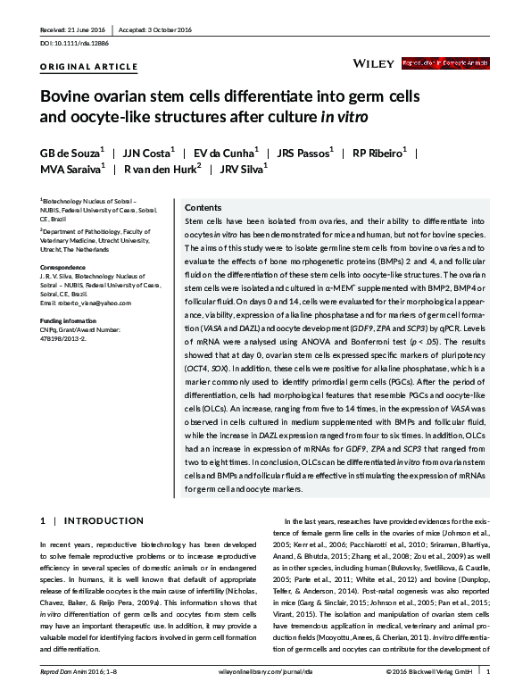 (PDF) Bovine ovarian stem cells differentiate into germ cells and ...