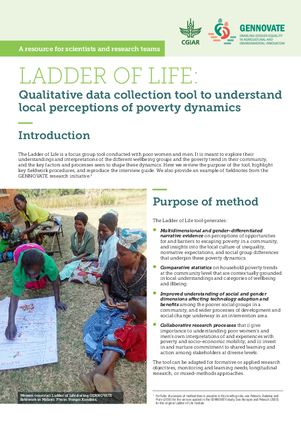 (PDF) Ladder of Life: Qualitative data collection tool to understand ...