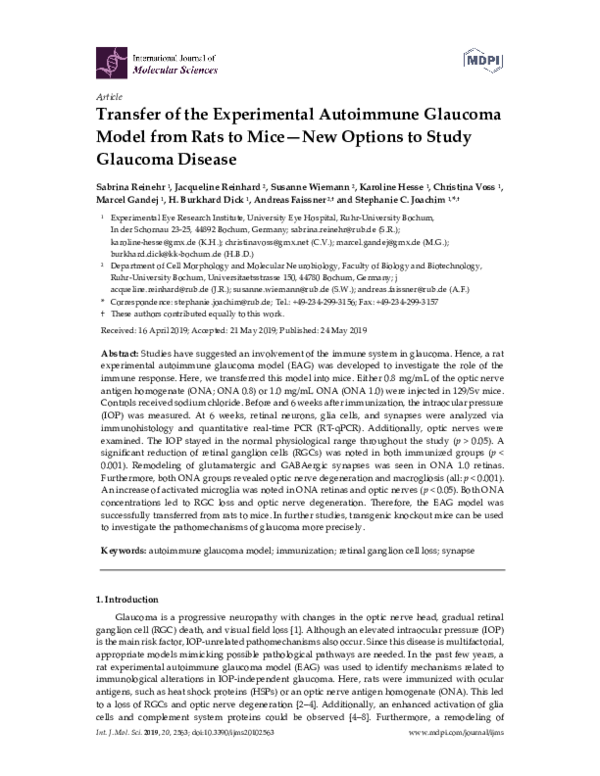(PDF) Transfer of the Experimental Autoimmune Glaucoma Model from Rats ...