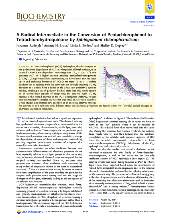 (PDF) A radical intermediate in the conversion of pentachlorophenol to ...