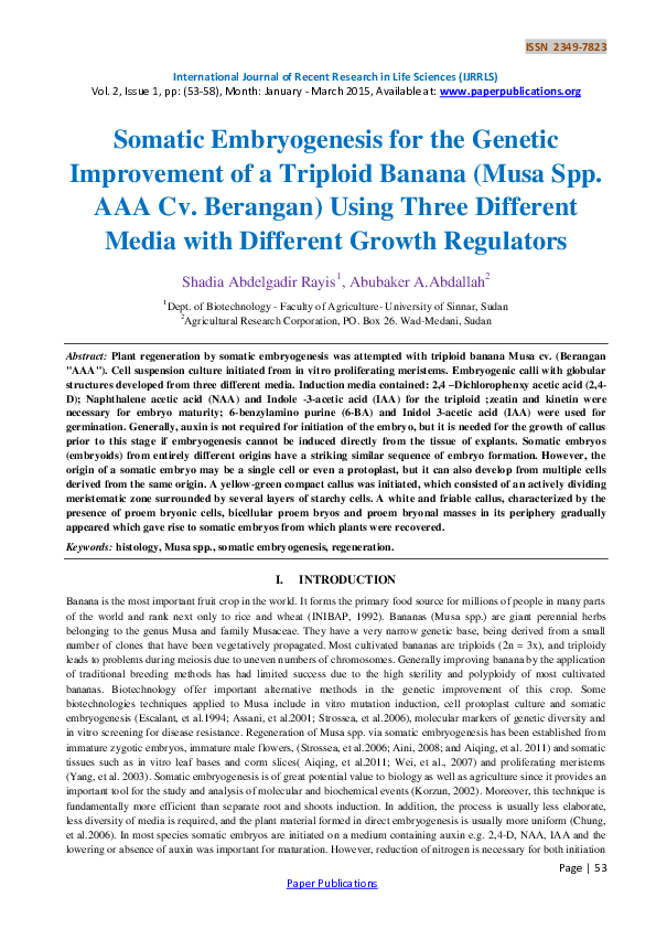 (PDF) Somatic Embryogenesis for the Genetic Improvement of a Triploid Banana (Musa Spp. AAA Cv ...
