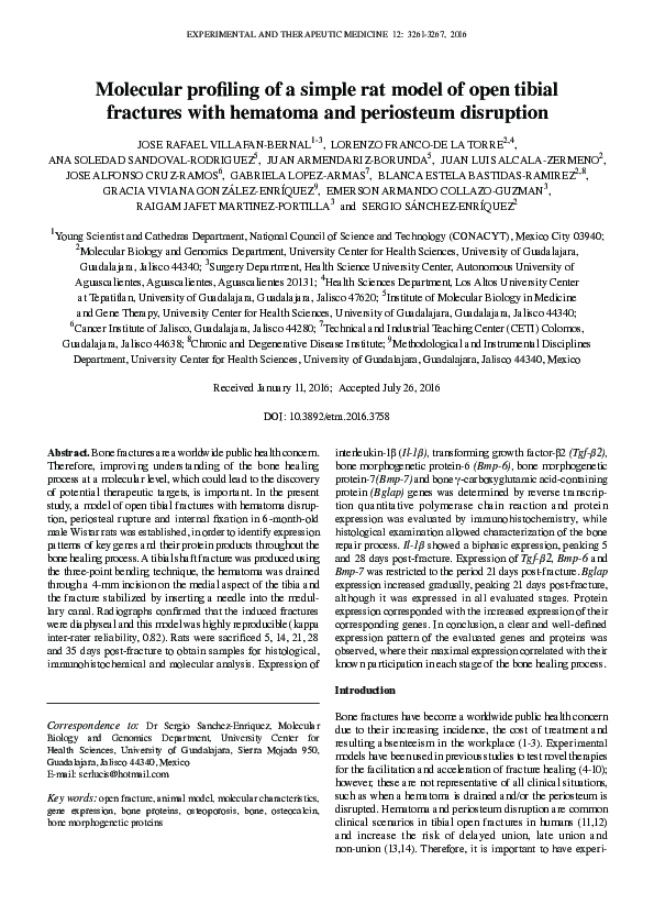 (PDF) Molecular profiling of a simple rat model of open tibial ...