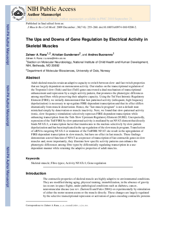 (PDF) The ups and downs of gene regulation by electrical activity in ...