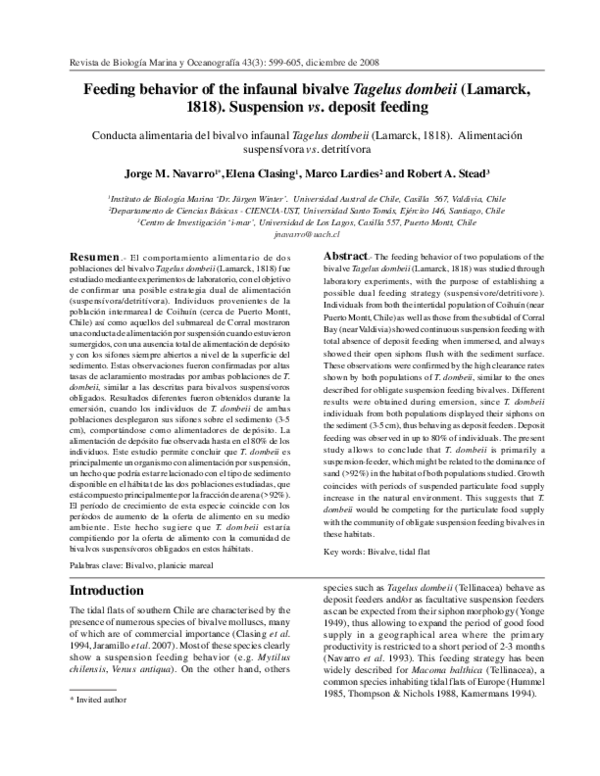 (PDF) Feeding behavior of the infaunal bivalve Tagelus dombeii (Lamarck ...