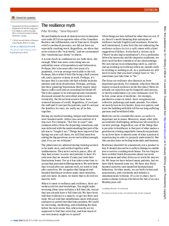 (PDF) The resilience myth