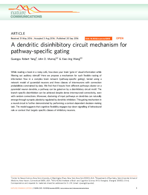(PDF) A Dendritic Disinhibitory Circuit Mechanism for Pathway-Specific ...