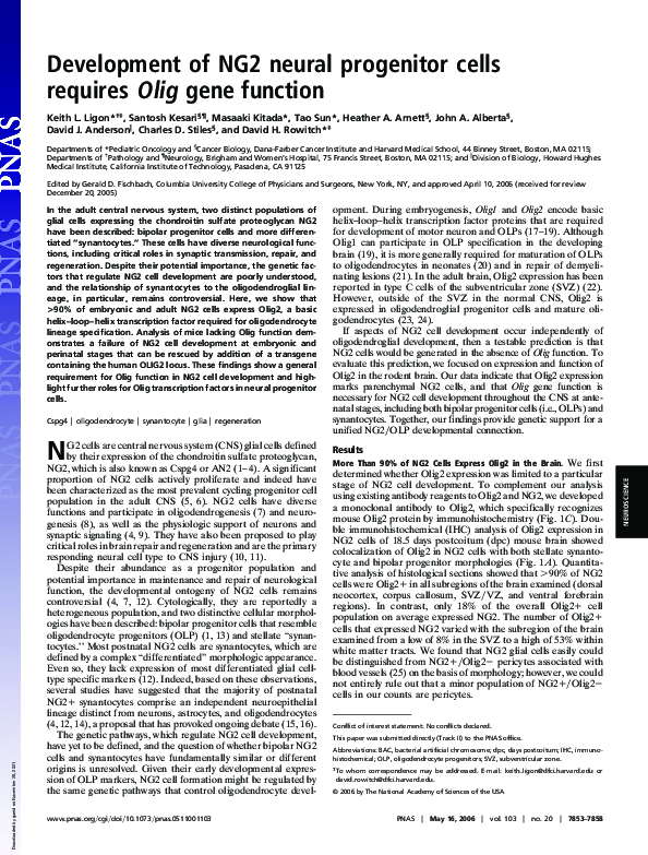 (PDF) Development of NG2 neural progenitor cells requires Olig gene ...