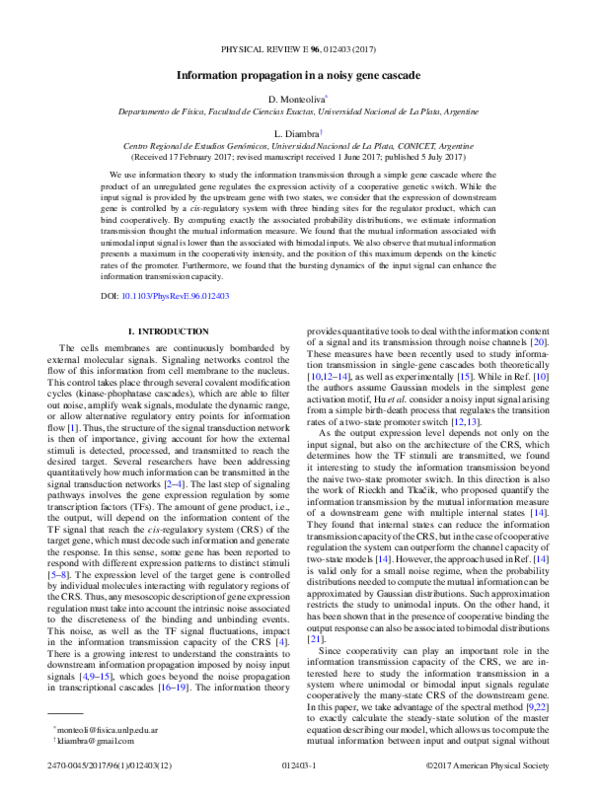 Pdf Information Propagation In A Noisy Gene Cascade