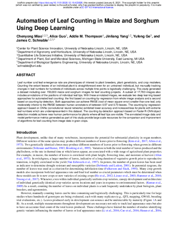 (PDF) Automation of Leaf Counting in Maize and Sorghum Using Deep Learning