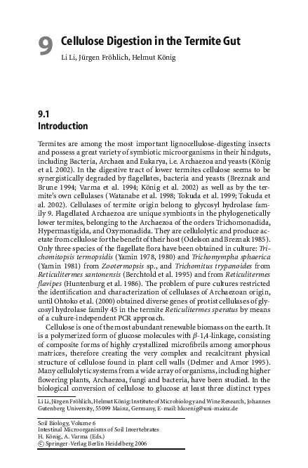 (PDF) Cellulose Digestion in the Termite Gut