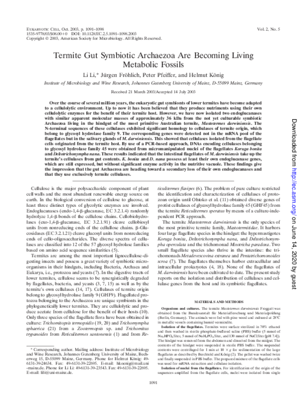 (PDF) Termite Gut Symbiotic Archaezoa Are Becoming Living Metabolic Fossils