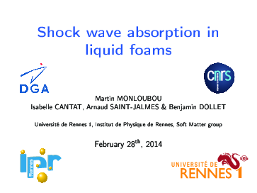 (PDF) Shock Wave Energy Absorption in Liquid Foams