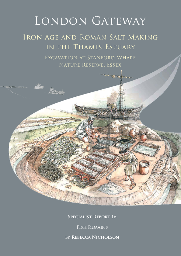 (PDF) Iron Age and Roman Salt Making in the Thames Estuary