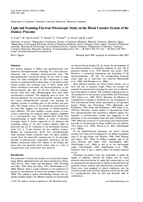 (PDF) Light and Scanning Electron Microscopic Study on the Blood ...