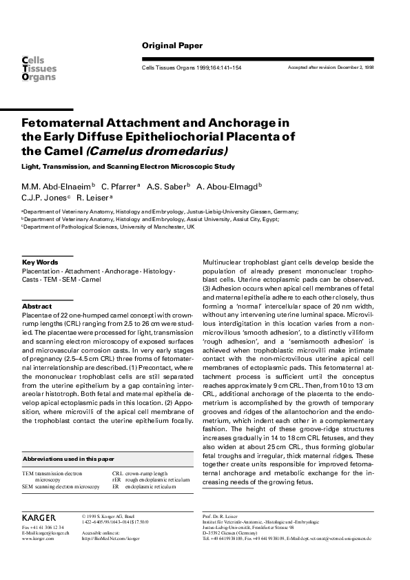 (PDF) Fetomaternal Attachment and Anchorage inthe Early Diffuse Epithel ...