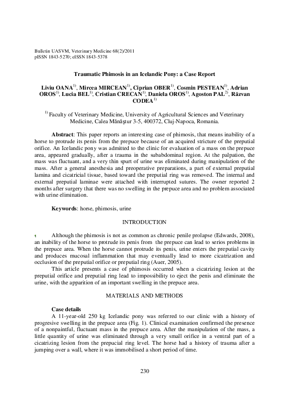 (PDF) Traumatic Phimosis in an Icelandic Pony: a Case Report