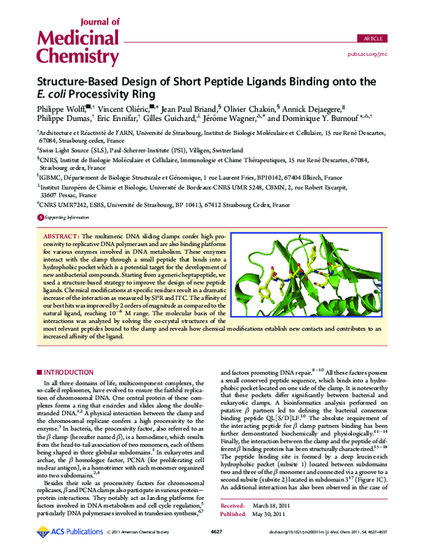 (PDF) Structure-Based Design of Short Peptide Ligands Binding onto the ...