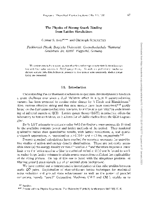 (PDF) The Physics of Strong Quark Binding from Lattice Simulations