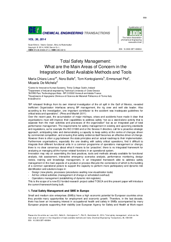 (PDF) Total safety management: What are the main areas of concern in ...