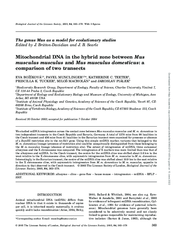 (PDF) Mitochondrial DNA in the hybrid zone between Mus musculus ...