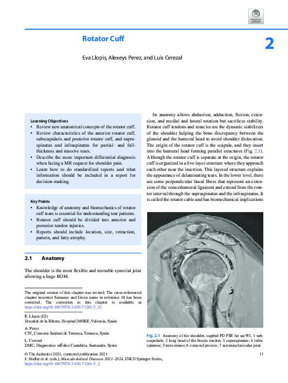 (PDF) Rotator Cuff