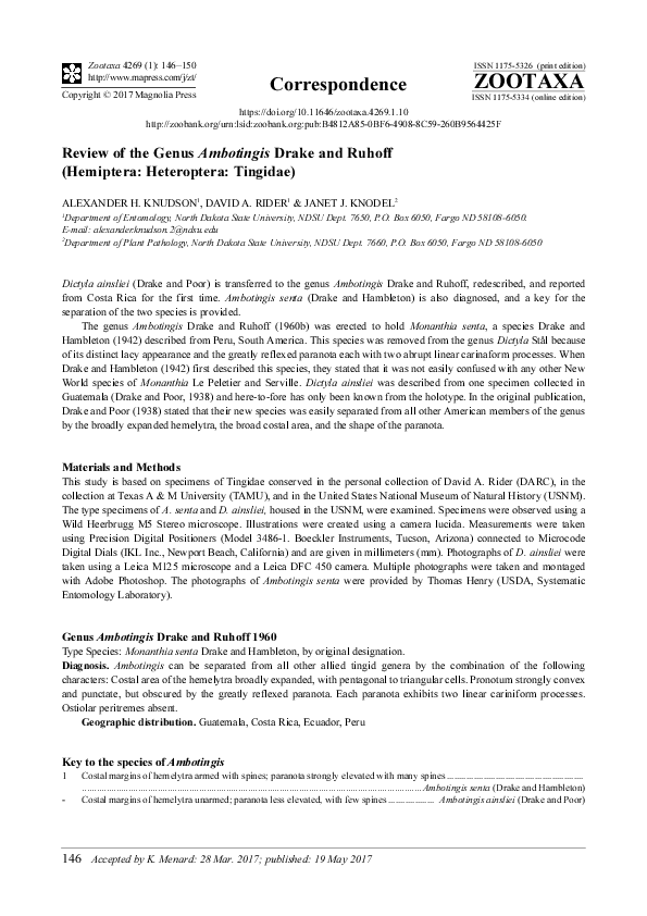 (PDF) Review of the Genus Ambotingis Drake and Ruhoff (Hemiptera ...