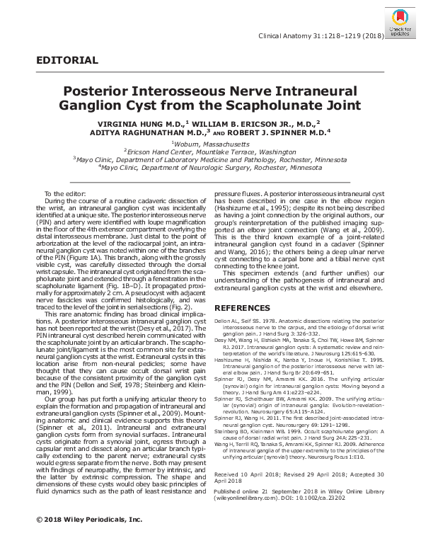 (PDF) Posterior interosseous nerve intraneural ganglion cyst from the ...