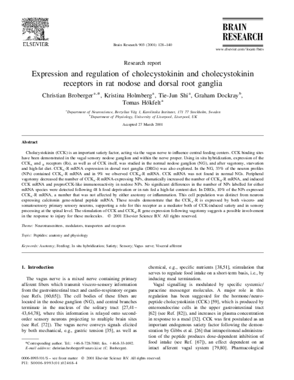 (PDF) Expression and regulation of cholecystokinin and cholecystokinin ...