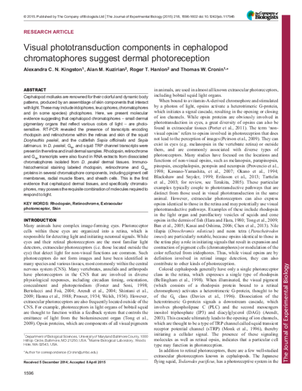 (PDF) RESEARCH ARTICLE Visual