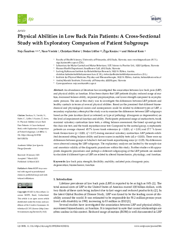 (PDF) Physical Abilities in Low Back Pain Patients: A Cross-Sectional ...